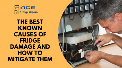 The Best Known Causes of Fridge Damage and How To Mitigate Them